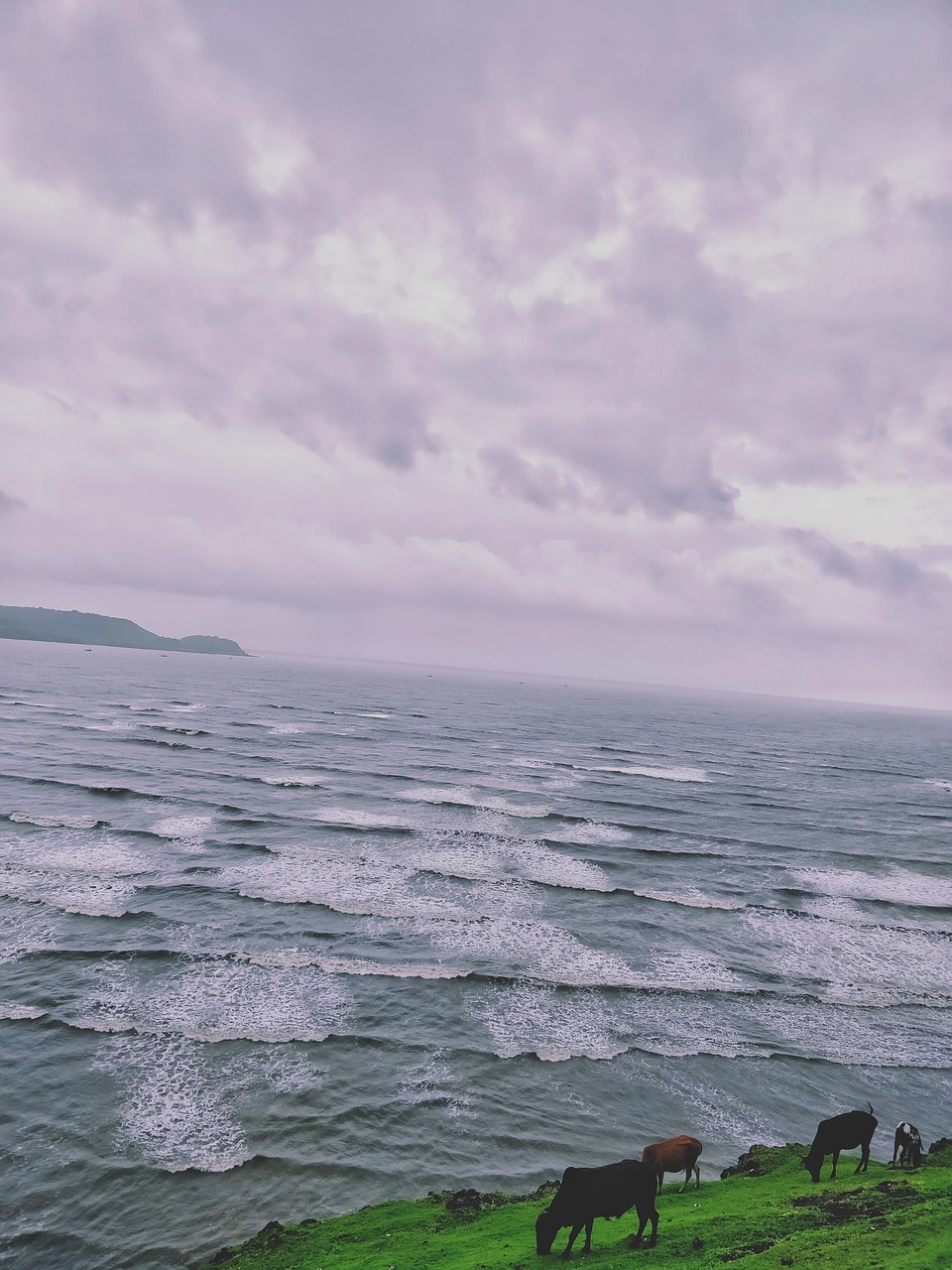 Océan Plage Mer - Photo gratuite sur Pixabay - Pixabay