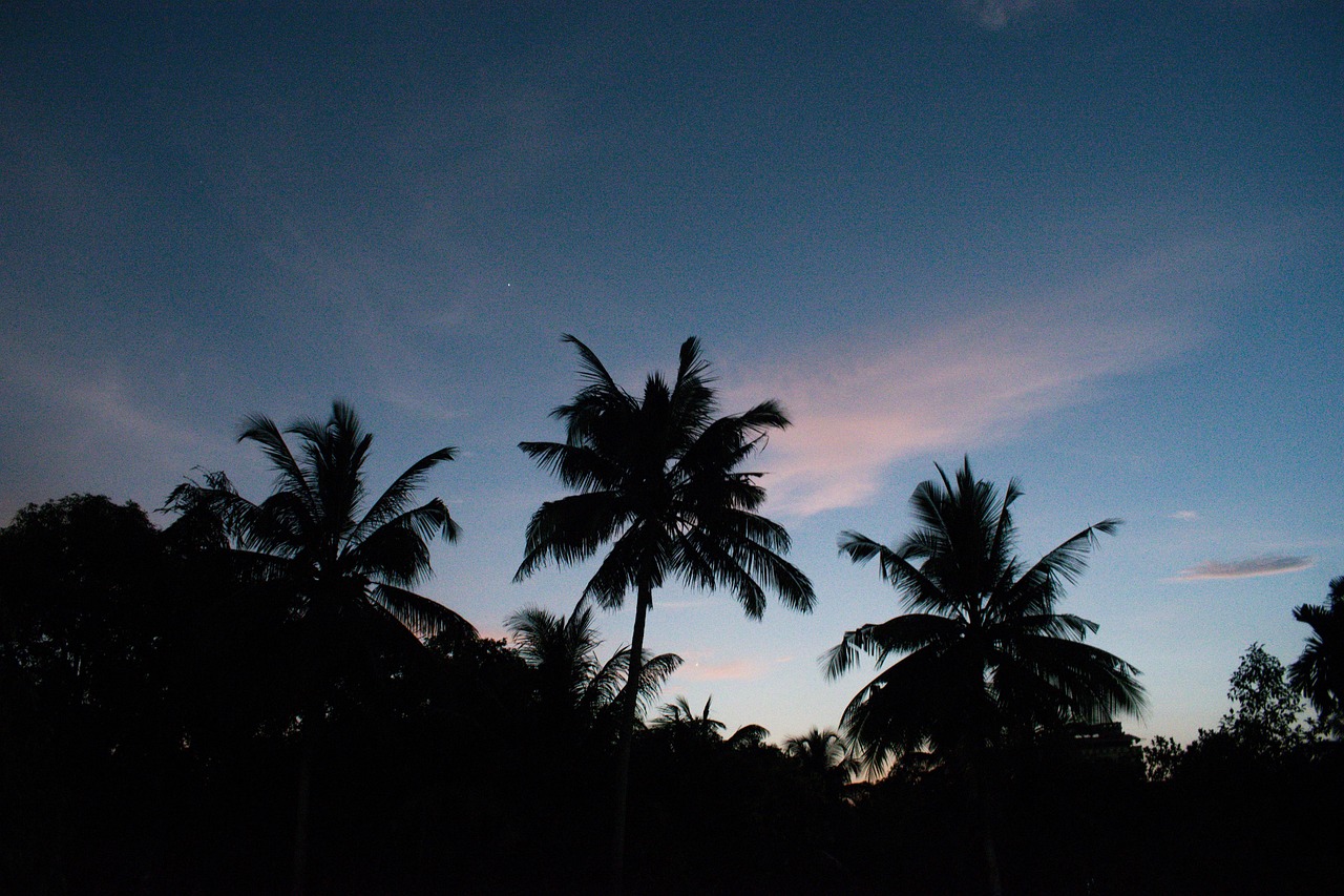 Atardecer Cielo Oscuro Rodaje - Foto gratis en Pixabay - Pixabay