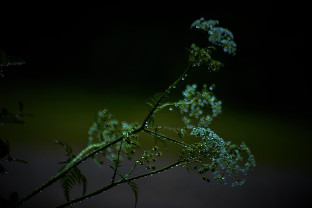 Summer Sun Landscape Free Photo On Pixabay Pixabay