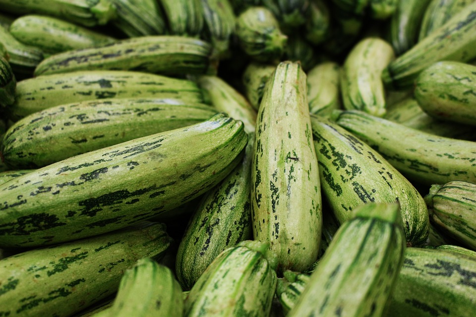 Zucchini Vegetarian Fresh - Free photo on Pixabay