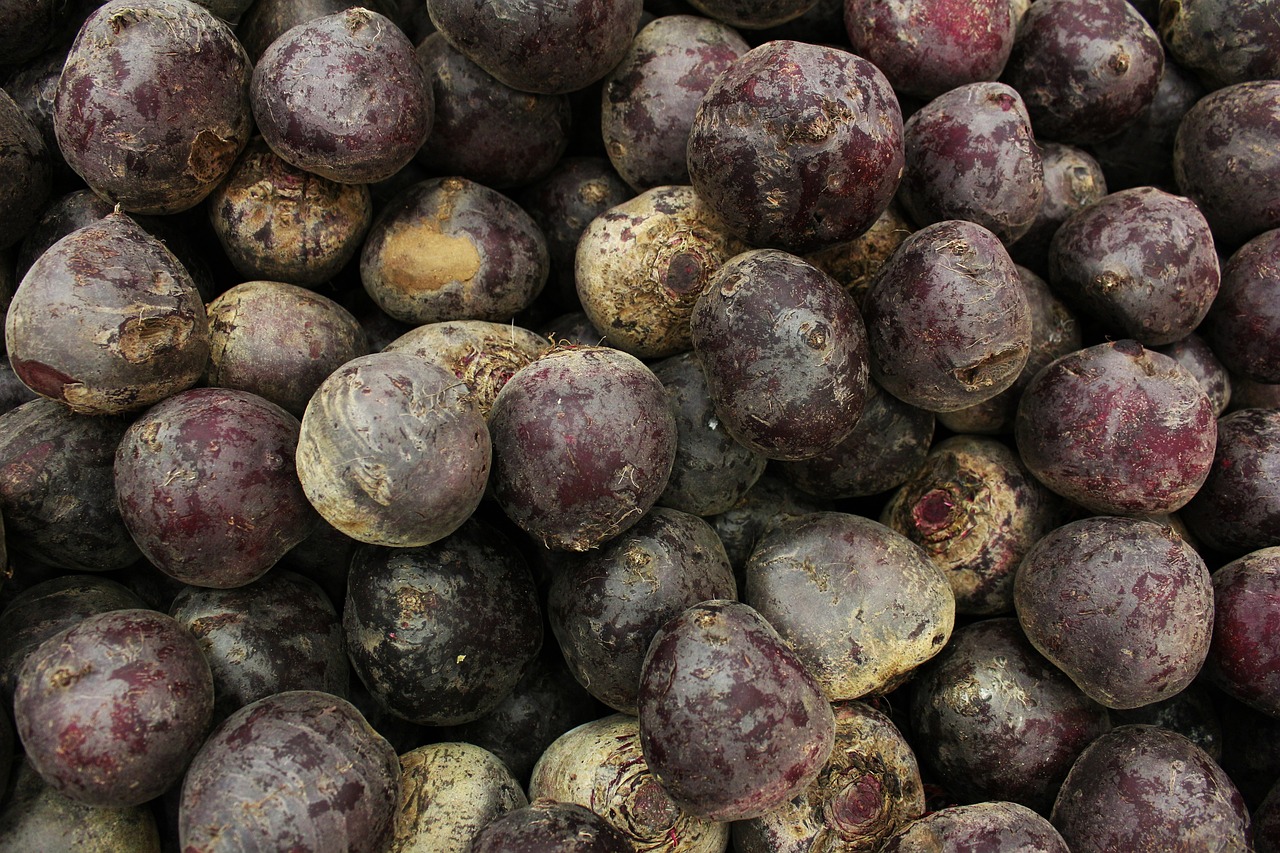 Beet The Background Vegetable - Free photo on Pixabay - Pixabay