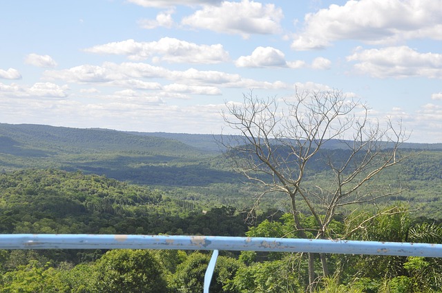 Misiones Argentina - Foto gratuita no Pixabay - Pixabay