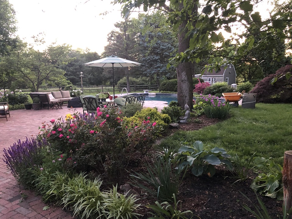 Garden Backyard Summer - Free photo on Pixabay - Pixabay