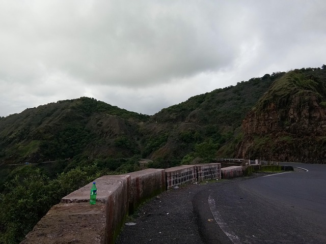 สวยงาม Konkan สุดยอ Mansoon Karul - ภาพฟรีบน Pixabay