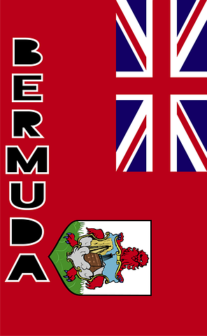 10+ Free Bermuda & Flag Illustrations - Pixabay