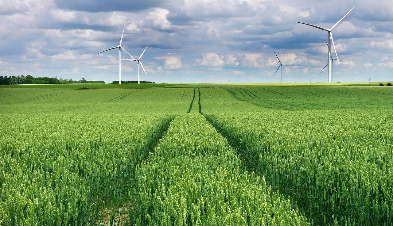 Wind Ecology Environment - Free photo on Pixabay