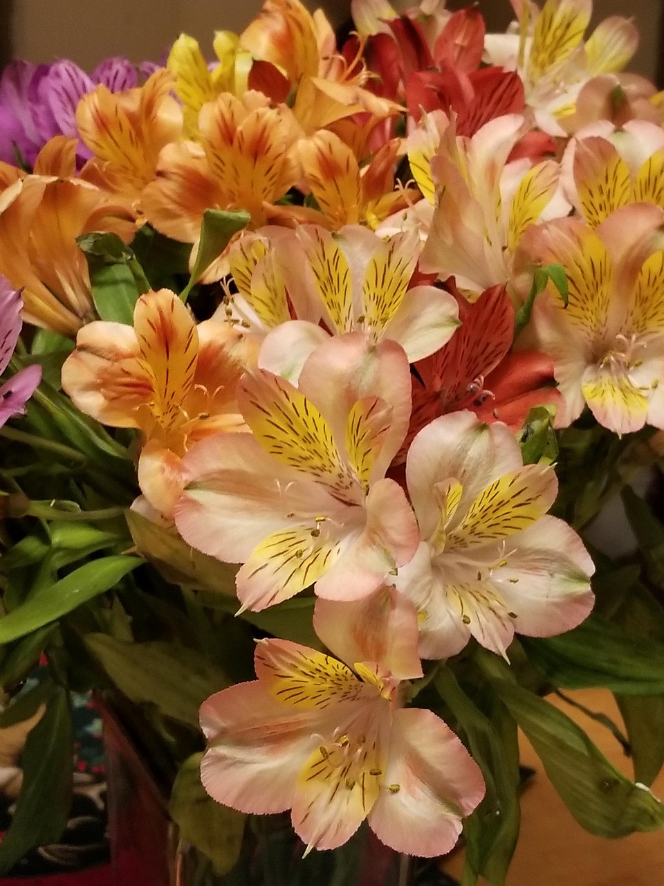 Fleurs Floral Fleurir Le - Photo gratuite sur Pixabay - Pixabay