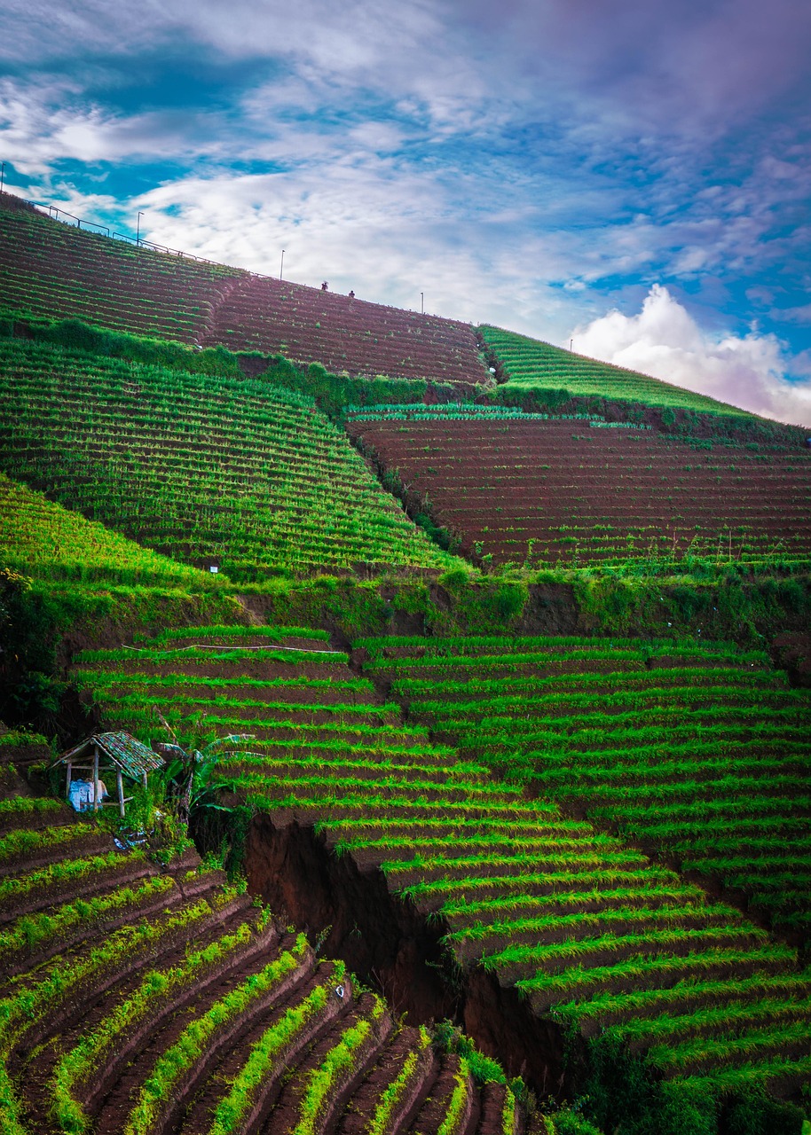 Farmers Human Farmer - Free photo on Pixabay - Pixabay