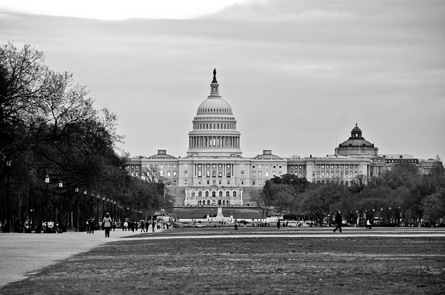 黒と白 ワシントンDc 国会議事堂の建物 - Pixabayの無料写真 - Pixabay