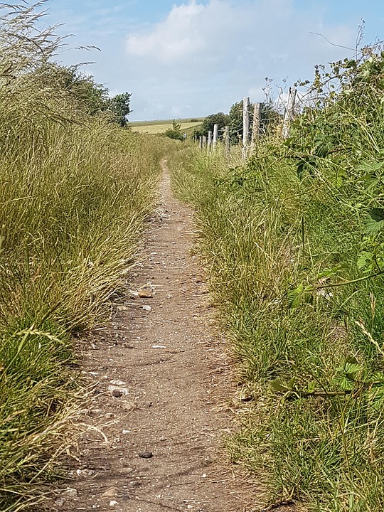 Path Trail Nature - Free photo on Pixabay - Pixabay
