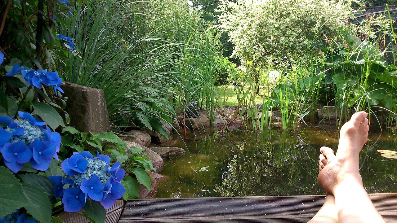 Relax Quitting Time Pond Idyll At Free Photo On Pixabay Pixabay