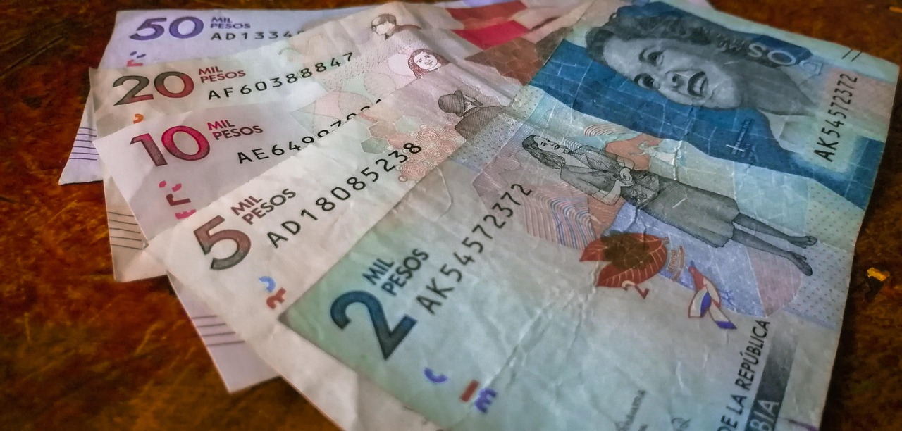 เงิน เศรษฐกิจ โคลัมเบีย Pesos - ภาพฟรีบน Pixabay - Pixabay