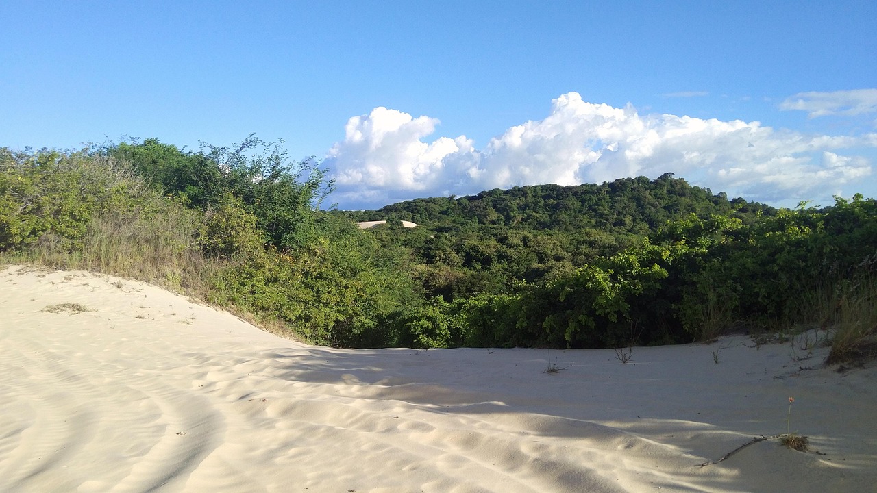 Beach Sand Landscape - Free photo on Pixabay