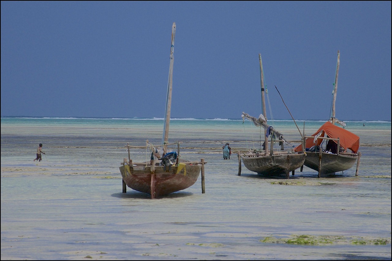 Zanzibar Indian Ocean Tanzania - Free photo on Pixabay - Pixabay