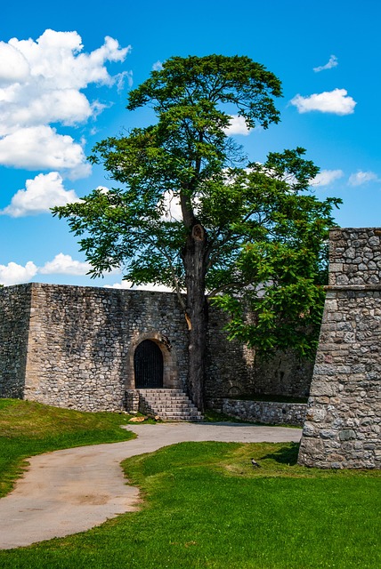 40+ Free Kastell & Fort Images - Pixabay
