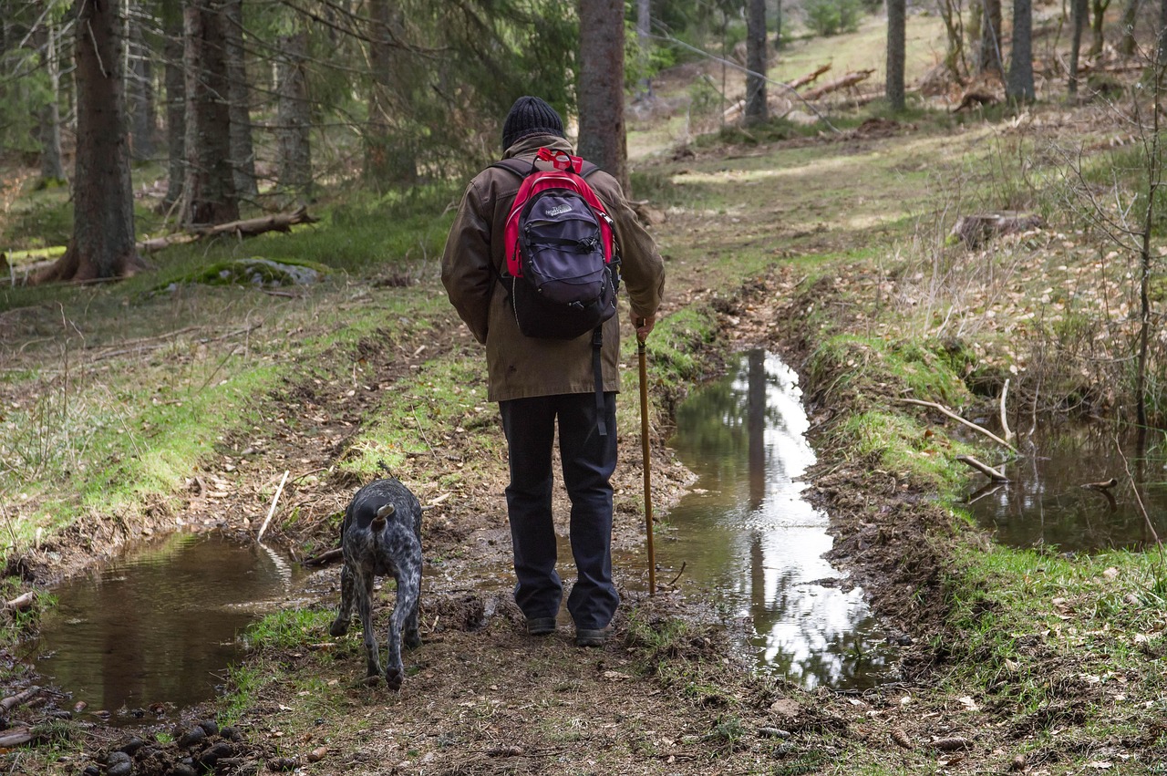 Hiker Hiking Path - Free photo on Pixabay - Pixabay