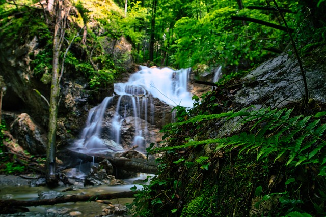 Cascade Paysage La Nature - Photo gratuite sur Pixabay - Pixabay