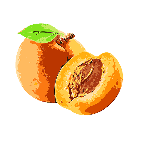 6+ Free Apricot & Fruit Vectors - Pixabay