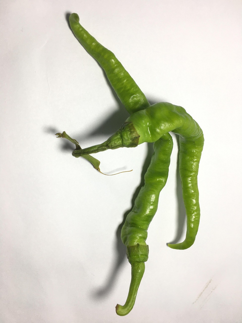 Chili Green Healthy - Free photo on Pixabay - Pixabay