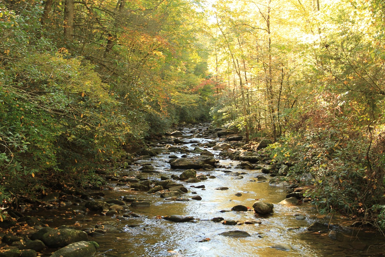 South Mountain Stream Water - Free photo on Pixabay - Pixabay