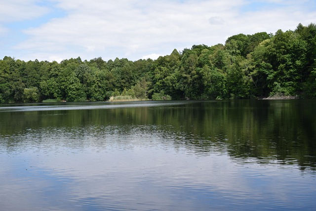 Lac Forêt Paysage - Photo gratuite sur Pixabay - Pixabay