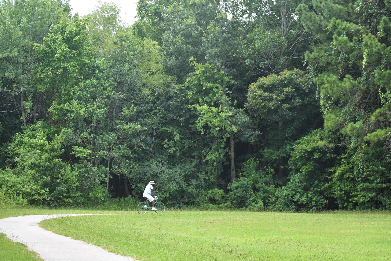 20,000+ Free Person Riding Bike & Bike Images - Pixabay