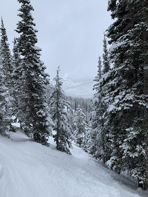 Winter Utah Ski - Free photo on Pixabay