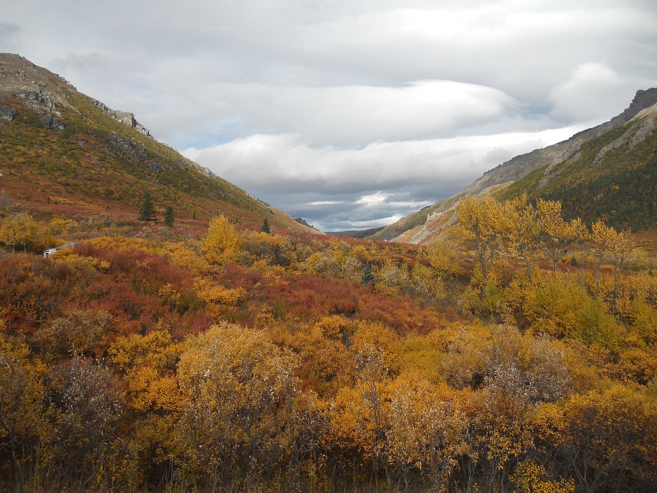 Alaska Nature Forêt - Photo gratuite sur Pixabay - Pixabay