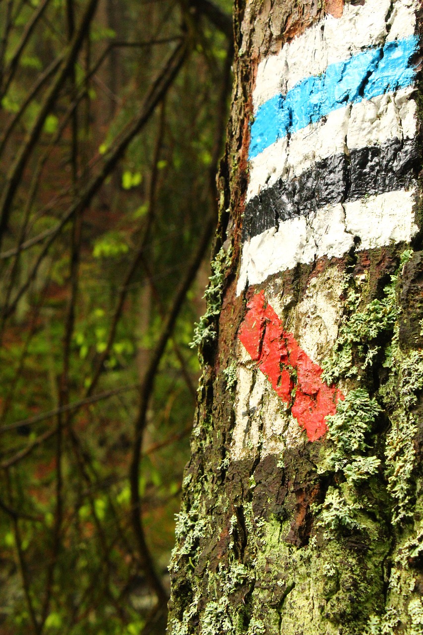 Trail Tree Designation - Free photo on Pixabay - Pixabay