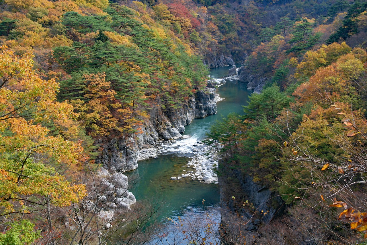 Kinugawa Autumn Japan - Free photo on Pixabay