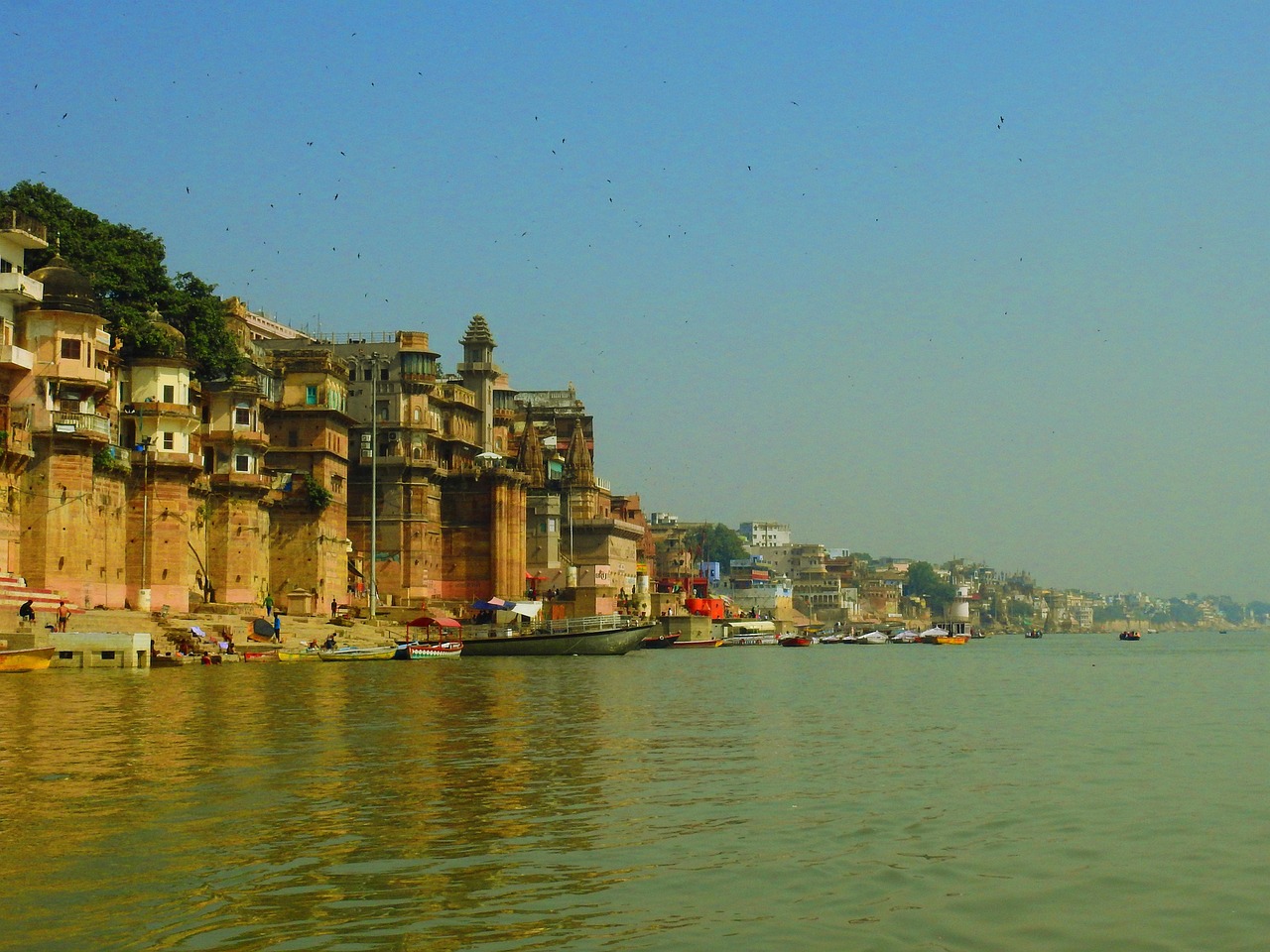Ganga Pollution Is Killing The Ganges India39s Most Sacred