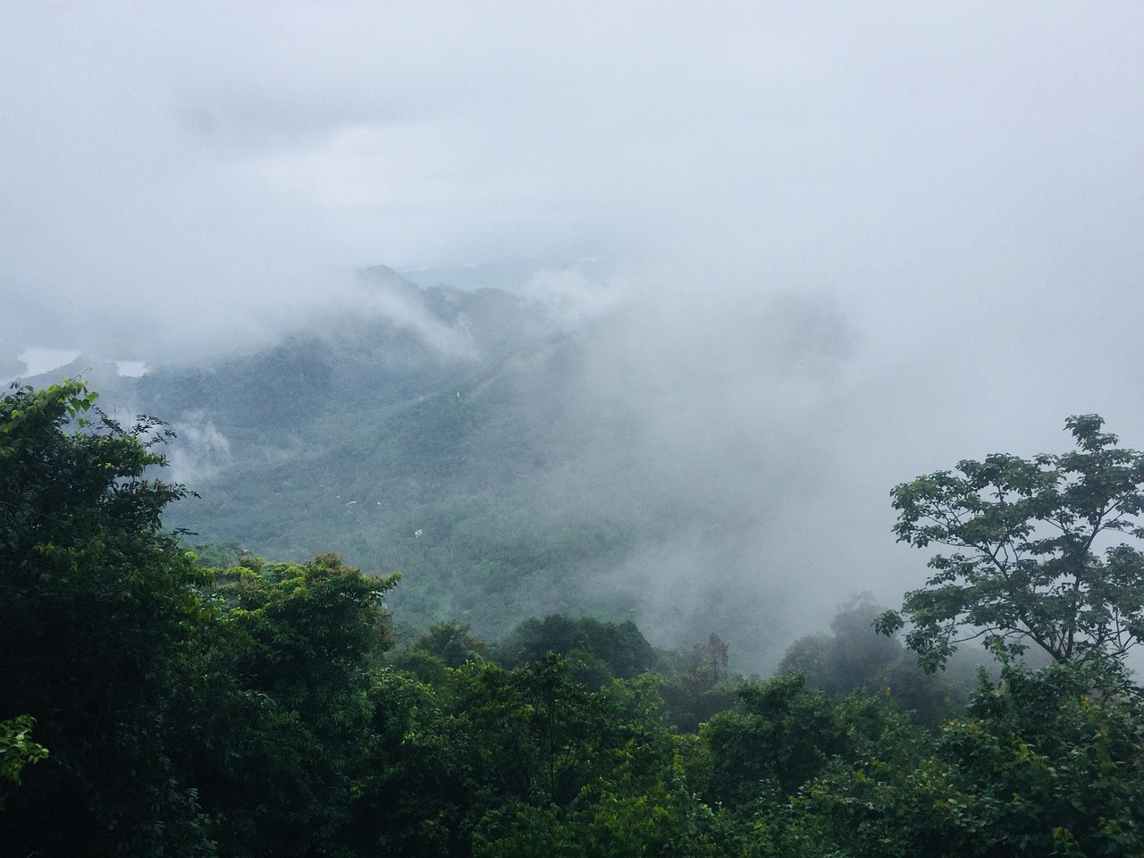 Kerala Nature Photo Gratuite Sur Pixabay Pixabay 7236