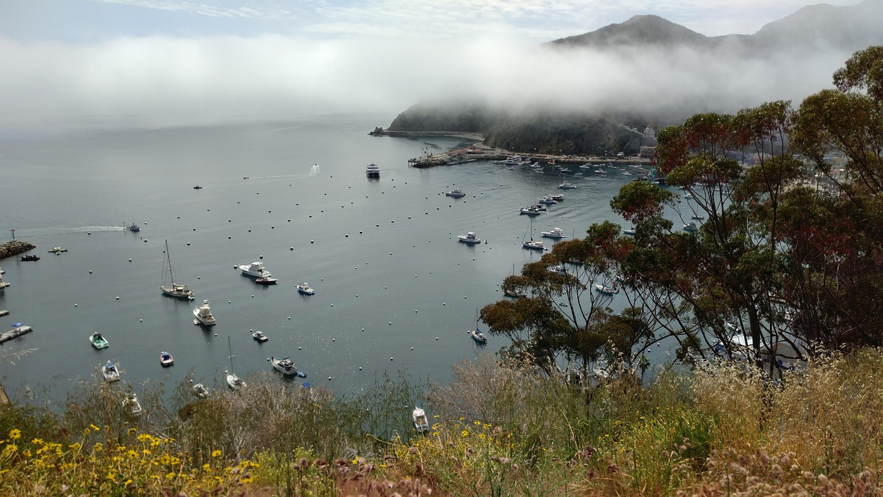 40+ Free Catalina Island & Catalina Images - Pixabay