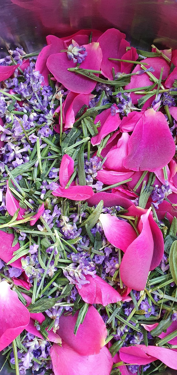 Potpourri Lavender Rose - Free photo on Pixabay - Pixabay