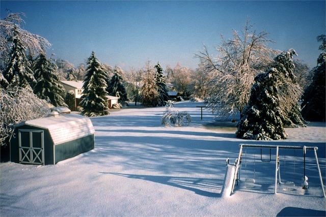 Snow Backyard Winter - Free photo on Pixabay - Pixabay