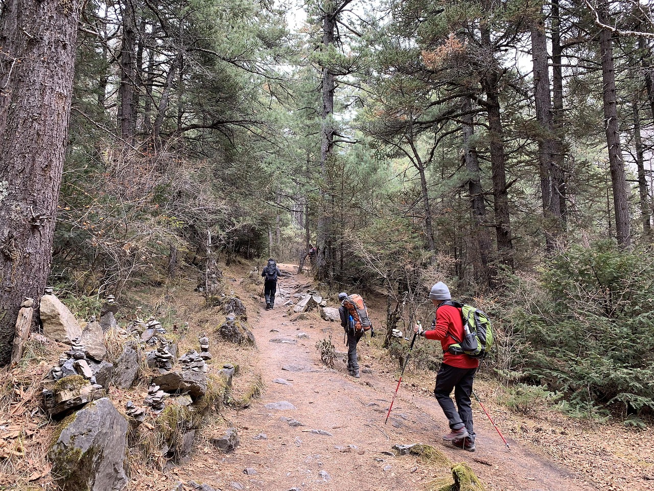 Lintas Alam Pendakian Trekking - Foto gratis di Pixabay - Pixabay