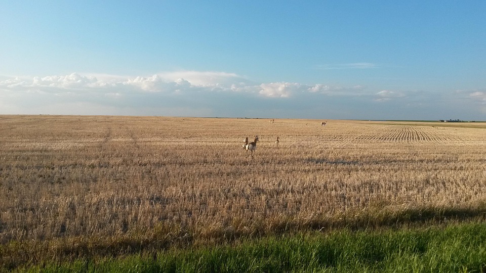 Prairie Saskatchewan Canada - Photo gratuite sur Pixabay - Pixabay