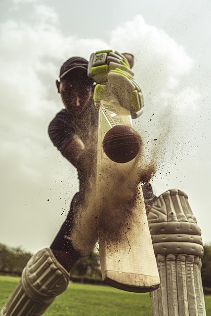 1,000+ Free Cricket Pitch & Cricket Images - Pixabay