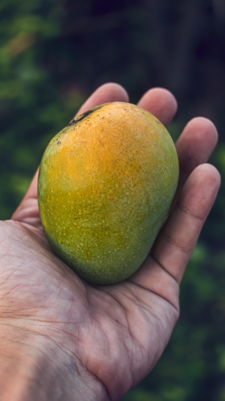 Main Mangue Frais - Photo gratuite sur Pixabay - Pixabay