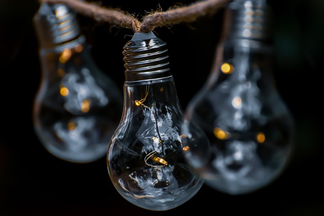 Light Bulb Energy Nature - Free photo on Pixabay