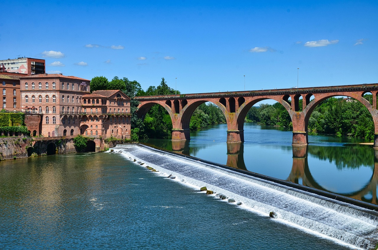 40+ Free Urși Albi & Albi Images - Pixabay