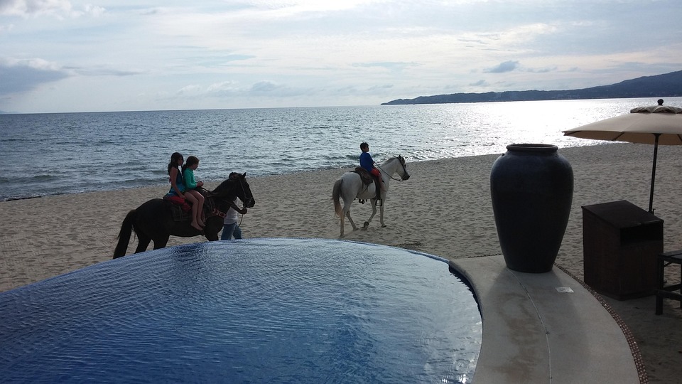 Bucerias Nayarit Mexico Horses On - Free photo on Pixabay