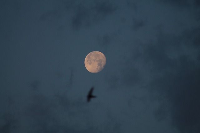 Kamer Moon Sky - Free photo on Pixabay - Pixabay