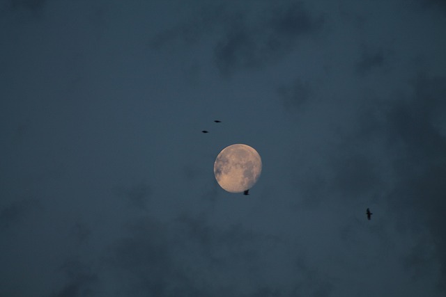 Kamer Moon Sky - Free photo on Pixabay - Pixabay