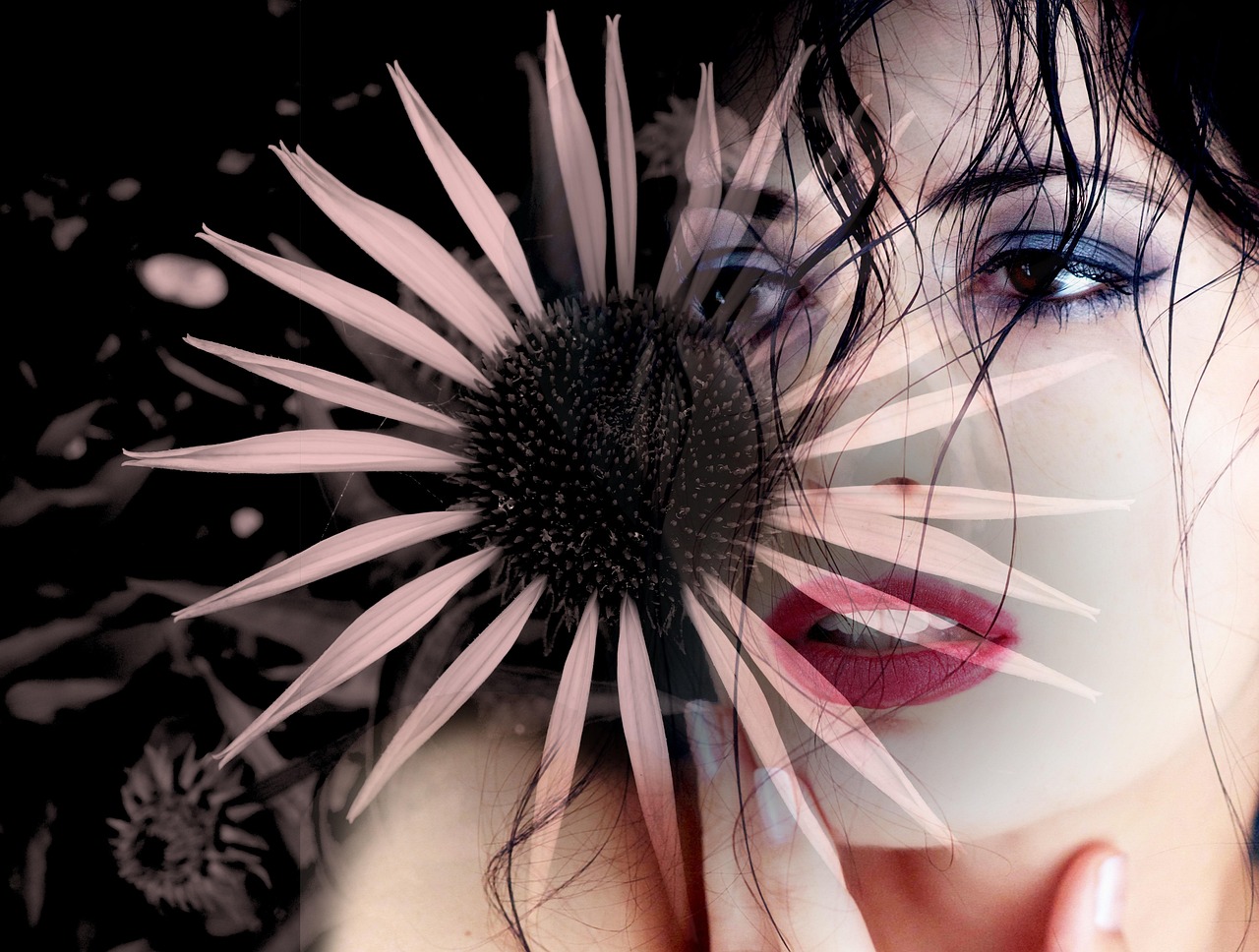 Mulher Flor Margarida - Foto gratuita no Pixabay - Pixabay