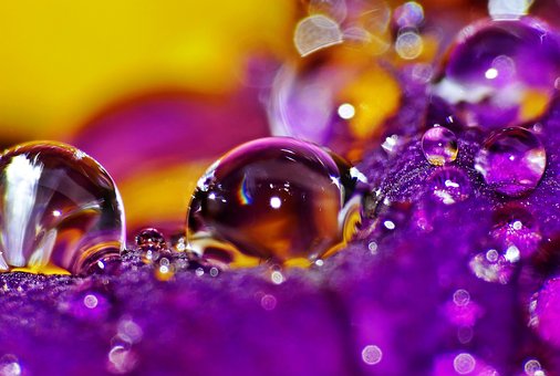 20+ Free Lensflare & Nature Images