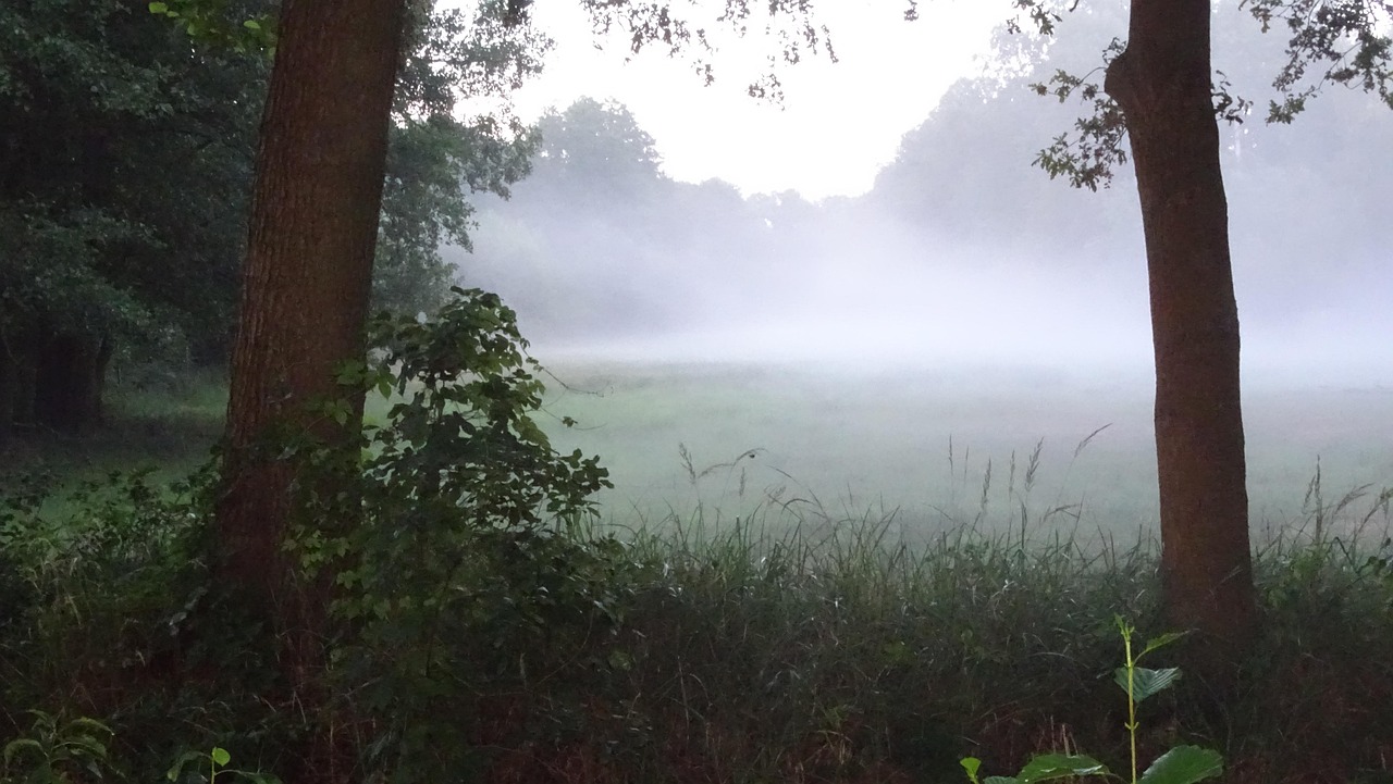 Nebel Landschaft Stimmung - Kostenloses Foto auf Pixabay - Pixabay