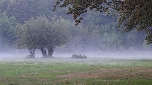 Nebel Landschaft Stimmung - Kostenloses Foto auf Pixabay