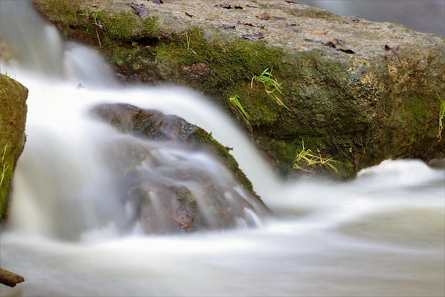 Wasser Sommer Natur - Kostenloses Foto auf Pixabay - Pixabay