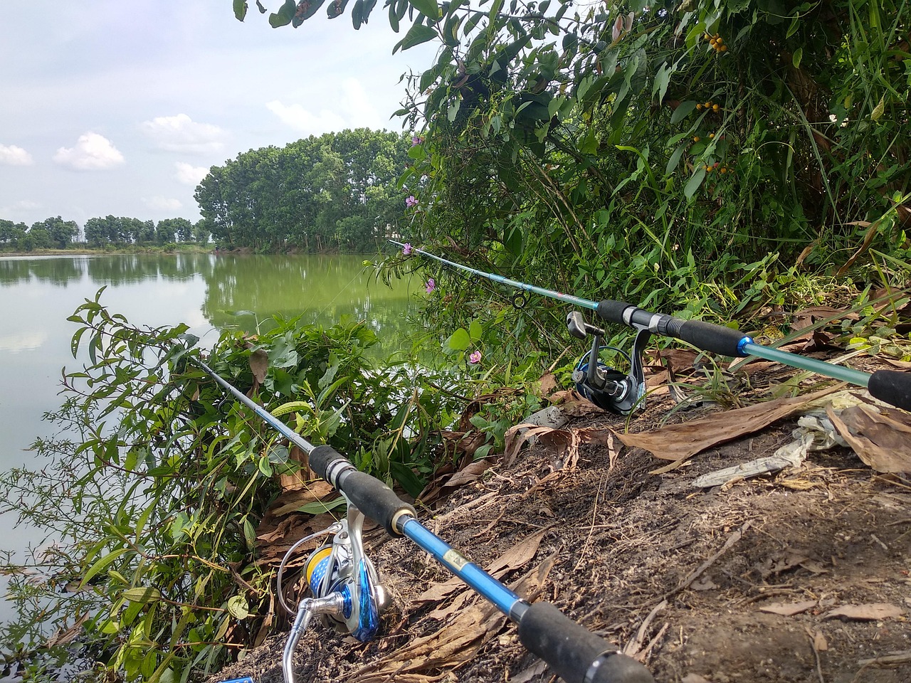 Holiday Fish Fishing - Free photo on Pixabay - Pixabay